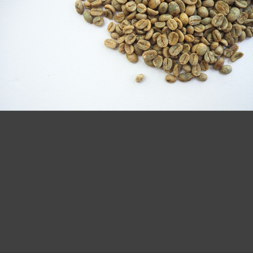 Grønne kaffebønner - Risteriet Webshop